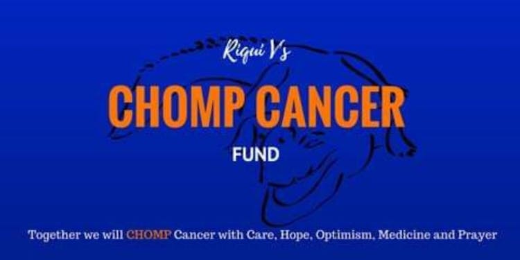 Pike Halftime and Dream Girl Competition | PIKE Philanthropy