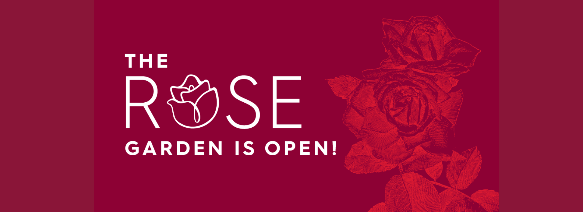 Appreciation Roses 2024 | ΑΓΔ Foundation