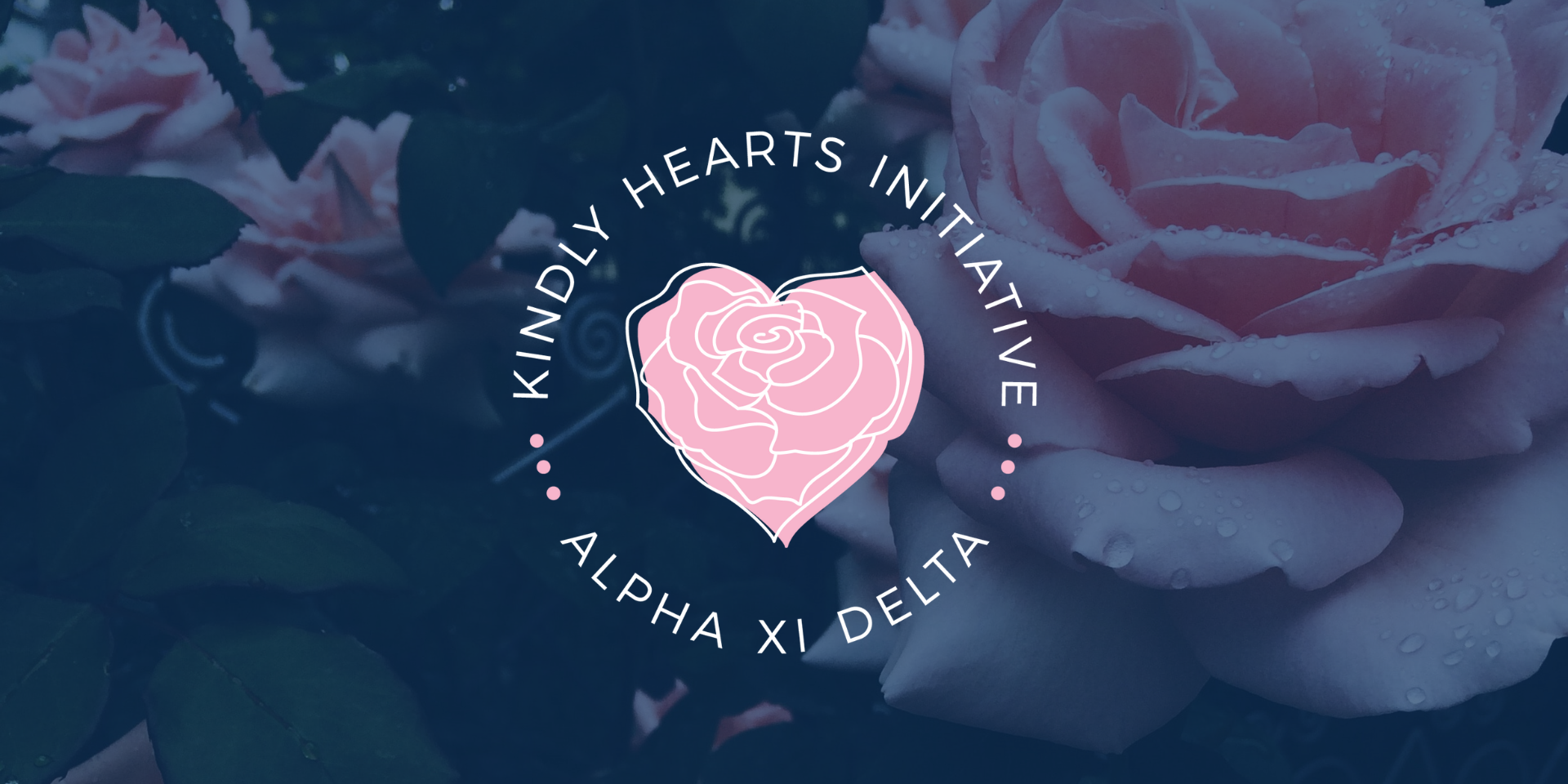 Alpha Xi Delta's Kindly Hearts Initiative | Alpha Xi Delta Fraternity