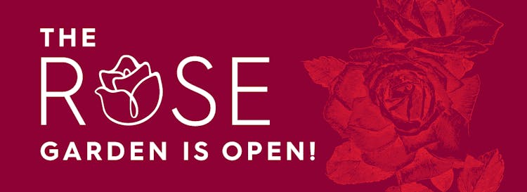 Appreciation Roses 2024 | ΑΓΔ Foundation